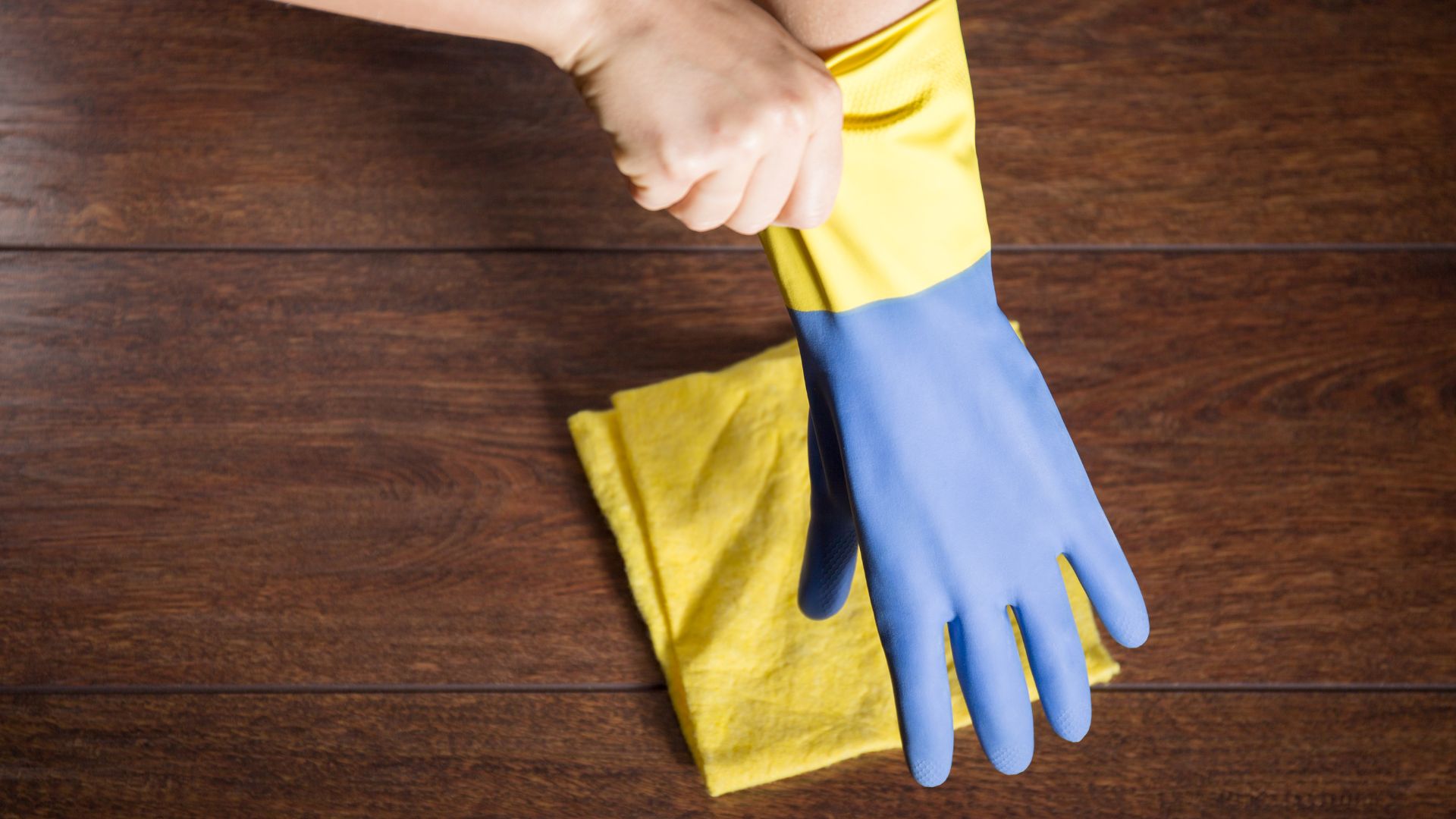 Top Sanitation and Disinfection Services With Royal Restoration