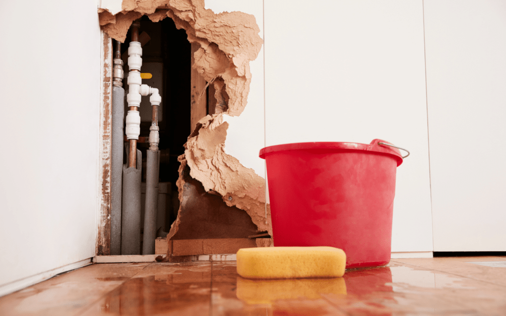 Flood Restoration Cost: A Complete Guide to Water Damage Repair Expenses
